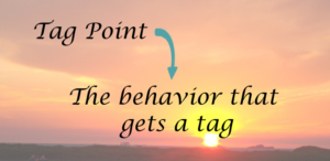tag point definition | TAGteach Membership and Online Courses