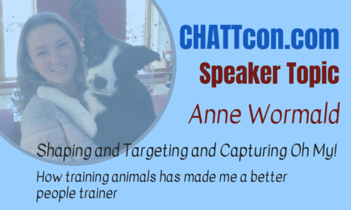 Speaker Topic Anne wide | TAGteach Membership and Online Courses